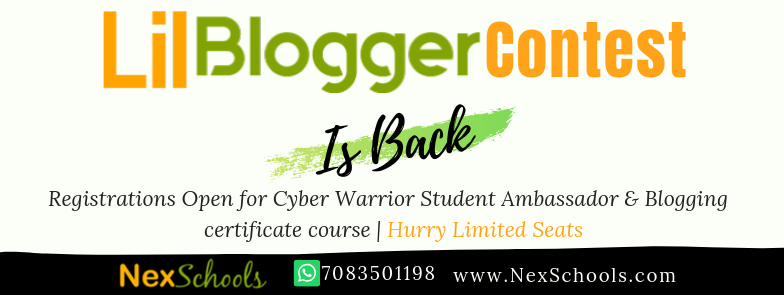 Understand PTA Structure and Role